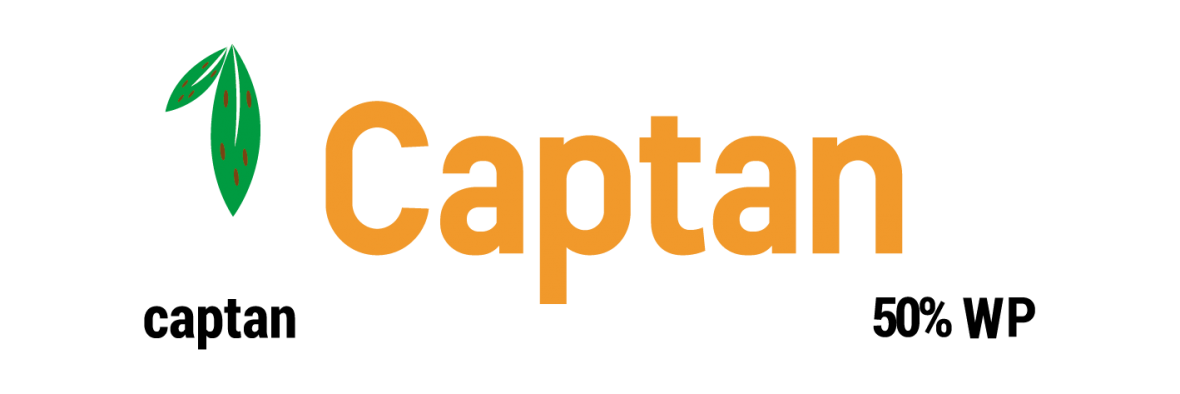 Fungicidas | Sifatec